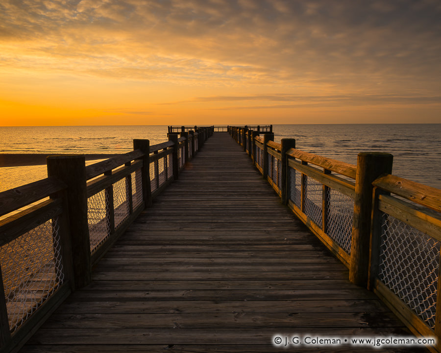 Are Dogs Allowed At Walnut Beach Ct