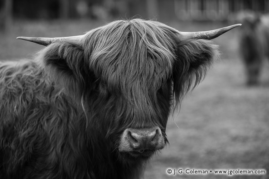 Further into Yankee Farmlands – J. G. Coleman Photography