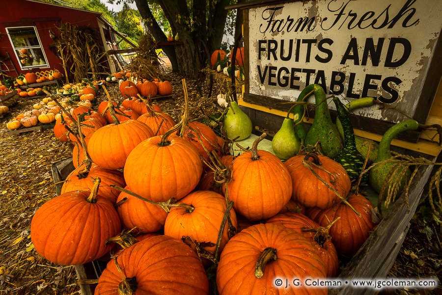 J. L. Hall Farm Stand, Autumn 2017 – J. G. Coleman Photography