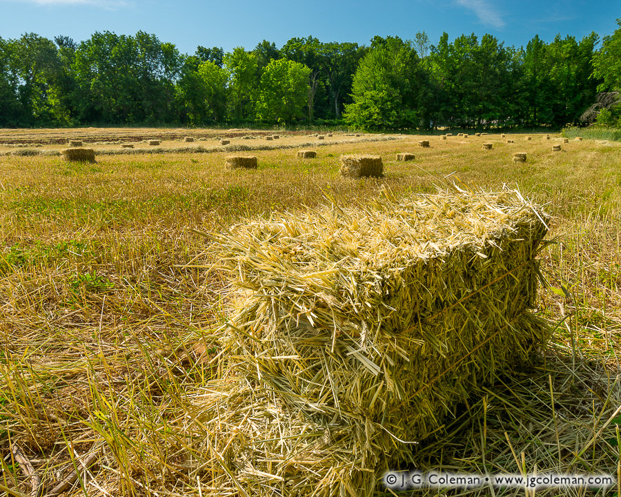 Square Bales and Summertime – J. G. Coleman Photography